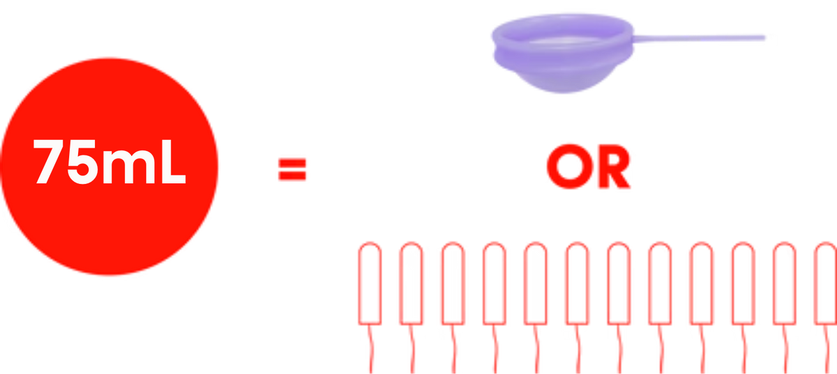 The First No-Fuss, No-Risk Period Disc + Applicator – Fillow